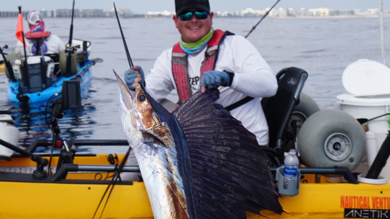 Chasing sailfish and mahi mahi