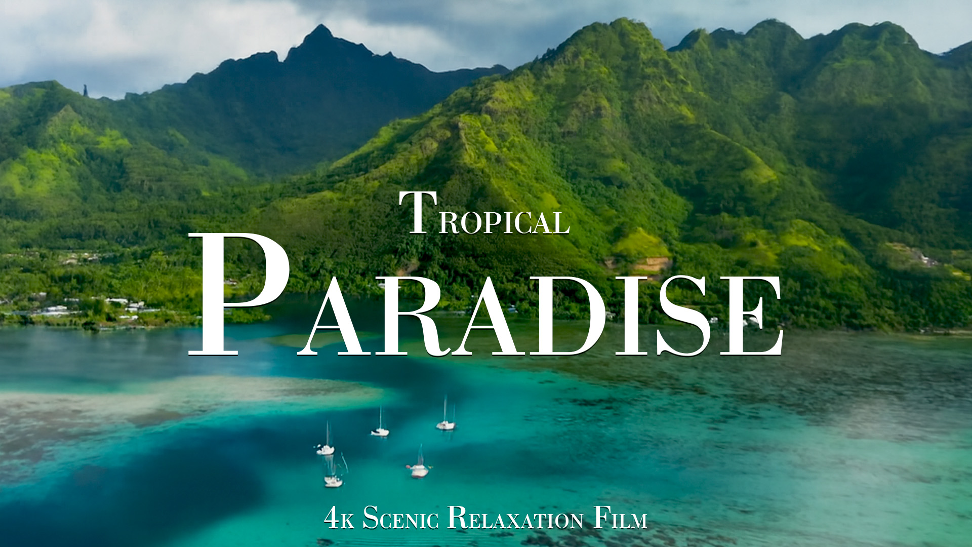 What Nature Looks Like in a Tropical Paradise – Captured in 4K
