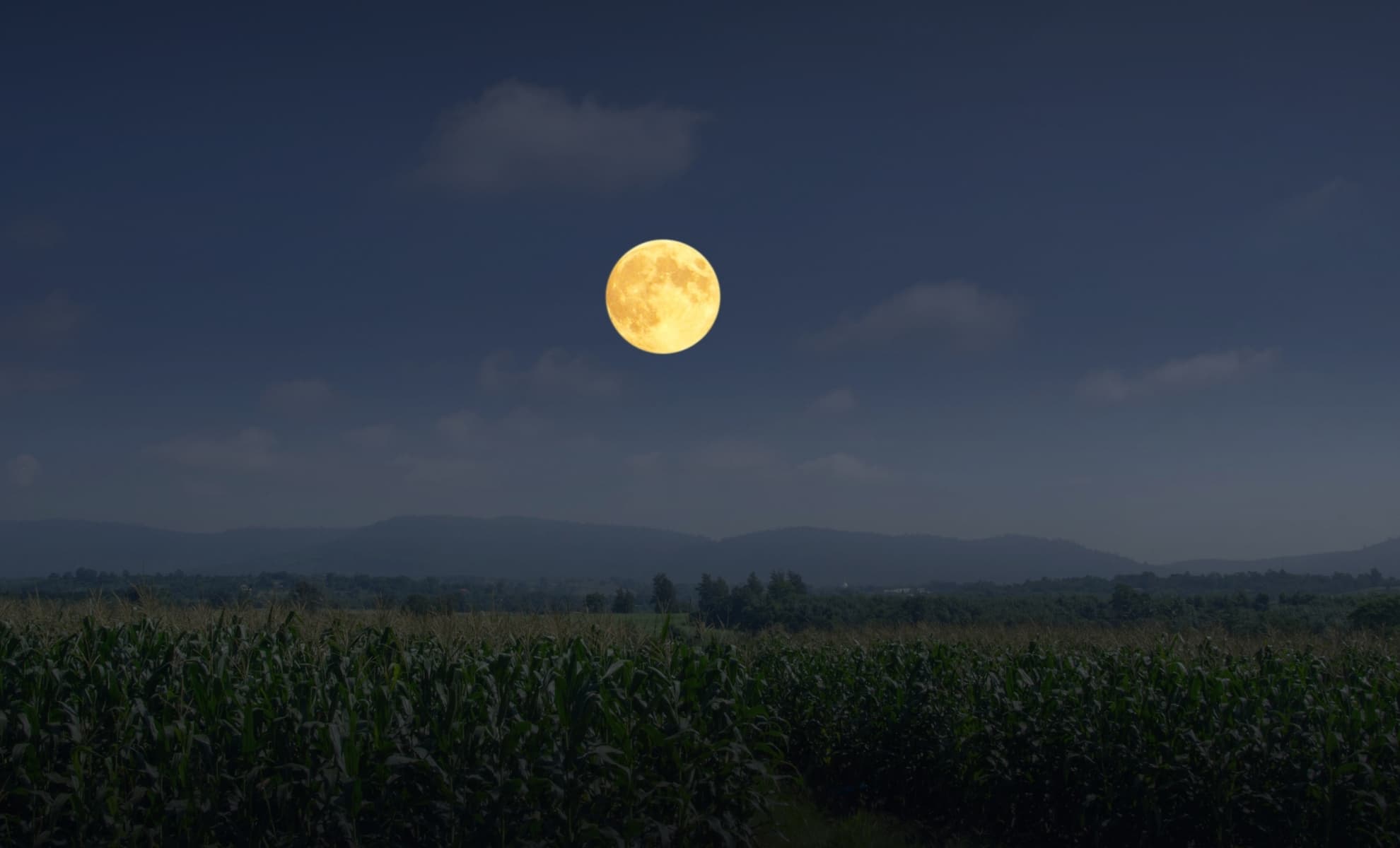 Corn Moon to Light Up the Skies This Week With an 82-Minute Lunar Eclipse