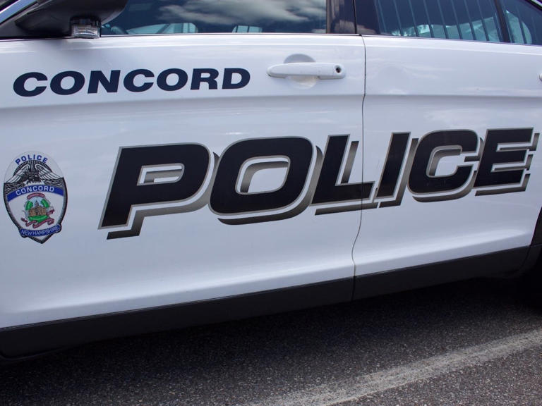 Concord Women Arrested On Domestic Violence, Assault, And Other Charges: Concord Cop Log