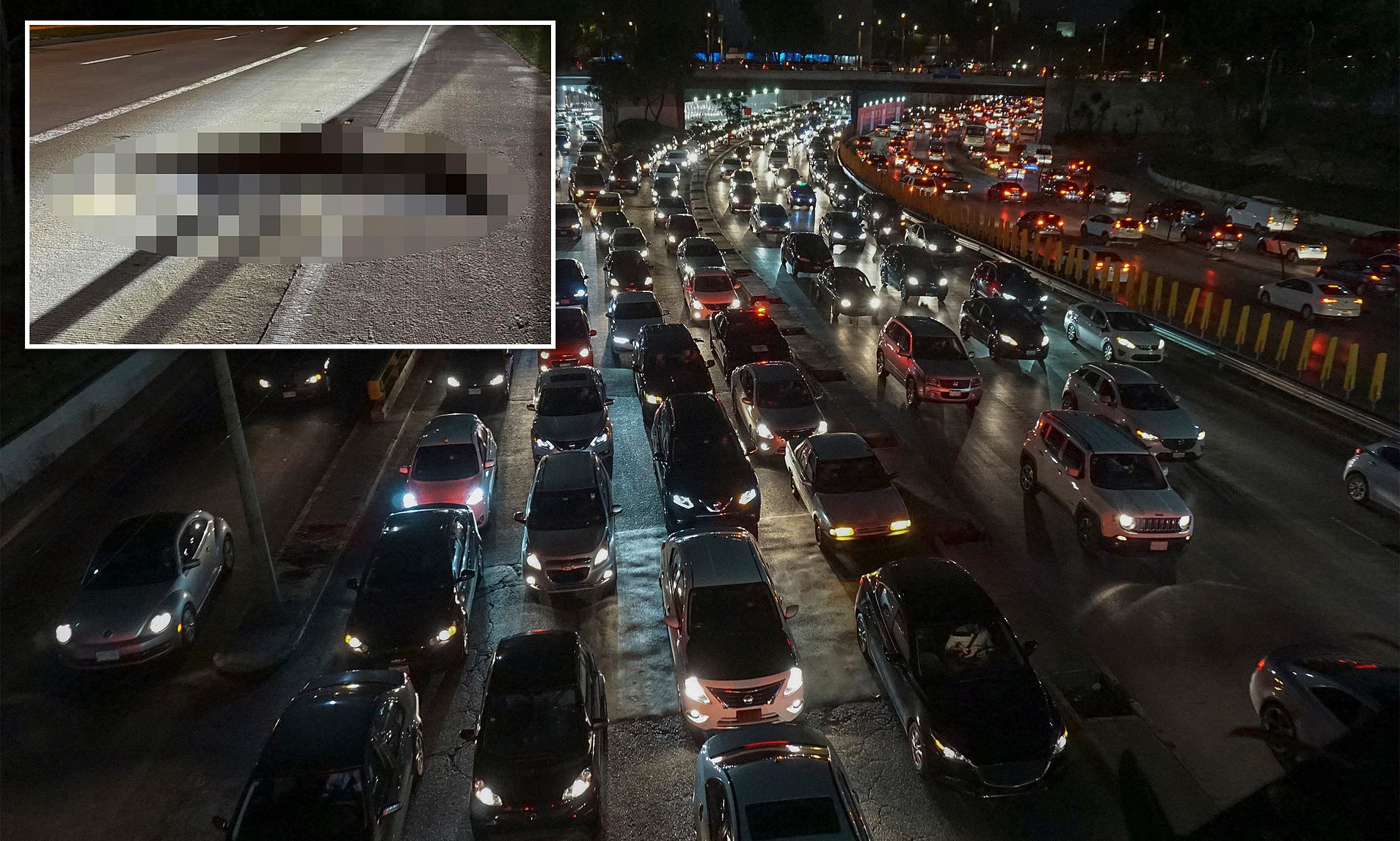 Traffic forced to stop on busy highway after VERY unwelcome beast tries ...