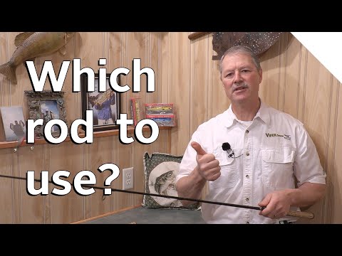 Which fishing rod to use and when? Fishing Rod Basics