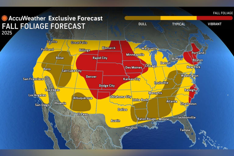 Fall foliage map shows best states to see autumn colors