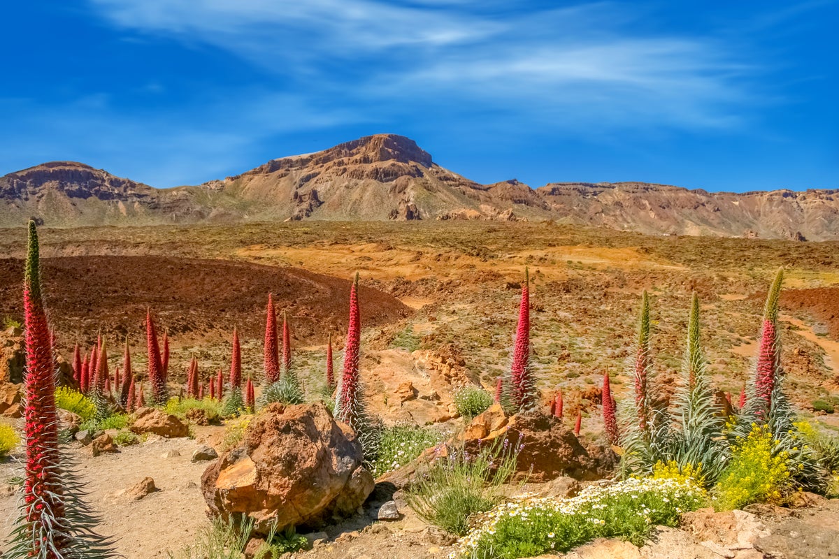 Why this island is set to undergo its biggest ever volcano drill