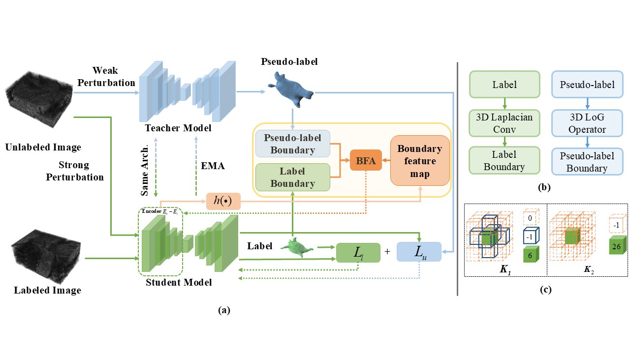 Semi-supervised segmentation method developed for 3D medical image accuracy