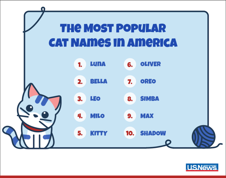 America’s Most Popular Cat Names of 2025 Are Full of Classics and a Few ...