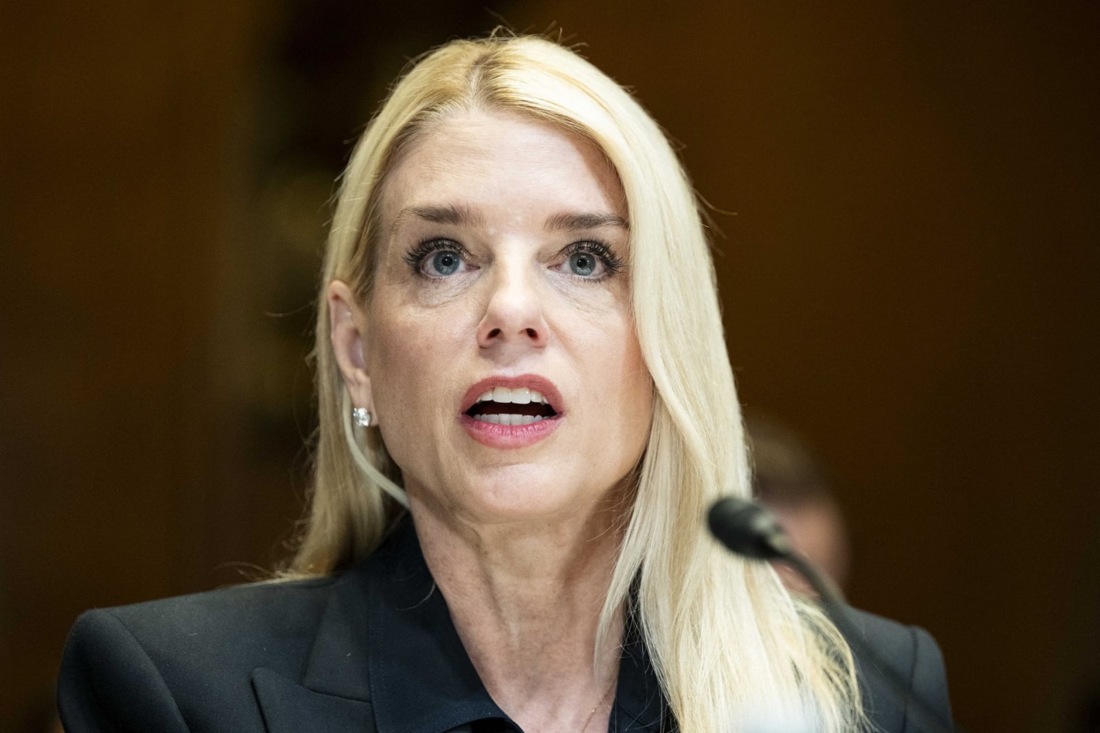 Bondi brags about arrests in the nation's capital