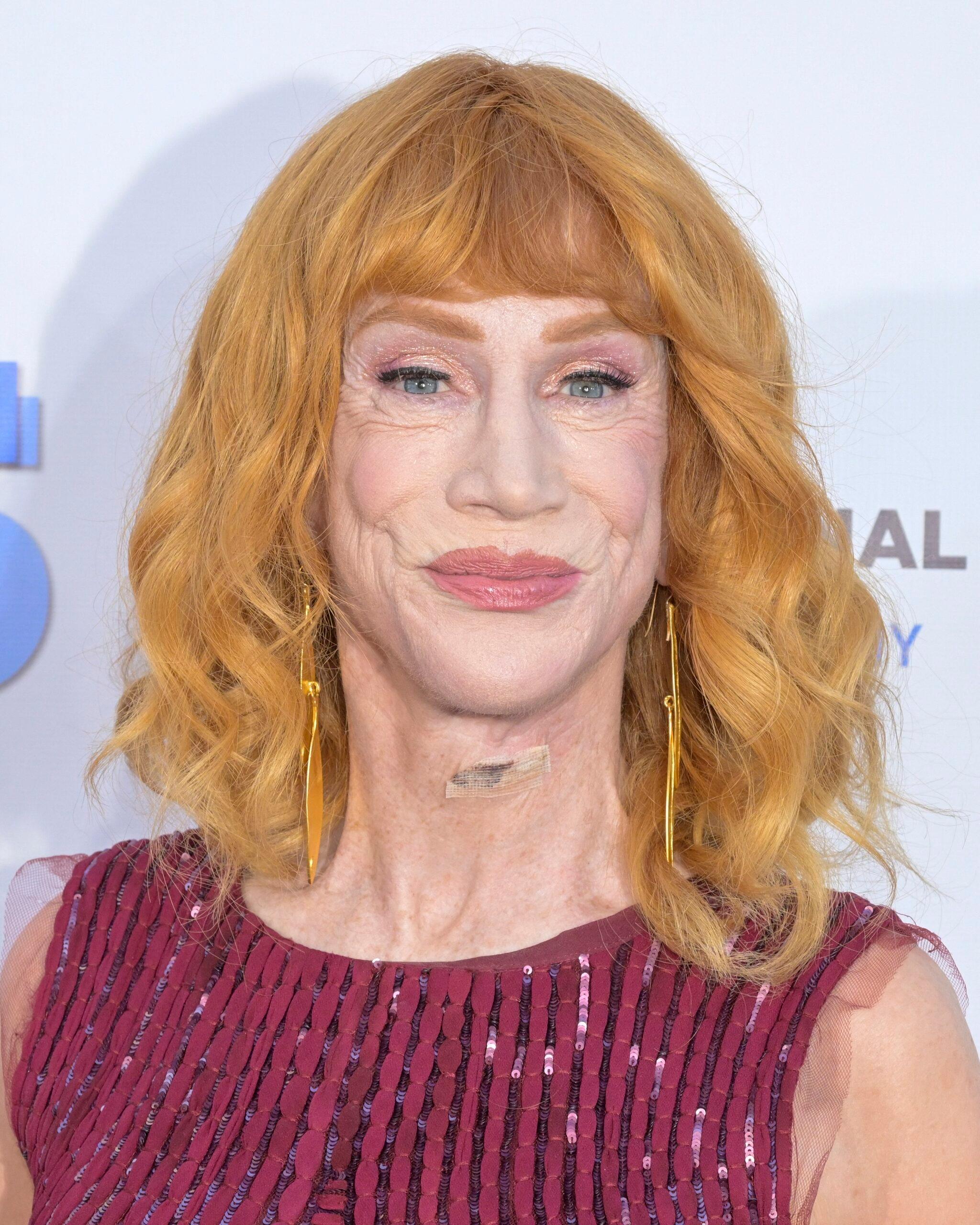 Kathy Griffin Spotted After Third Facelift, 'Should Have Saved Her Money'