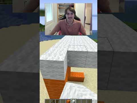 J'ai (pas) reconstruit la maison du poulet!🐔 #shorts #minecraft