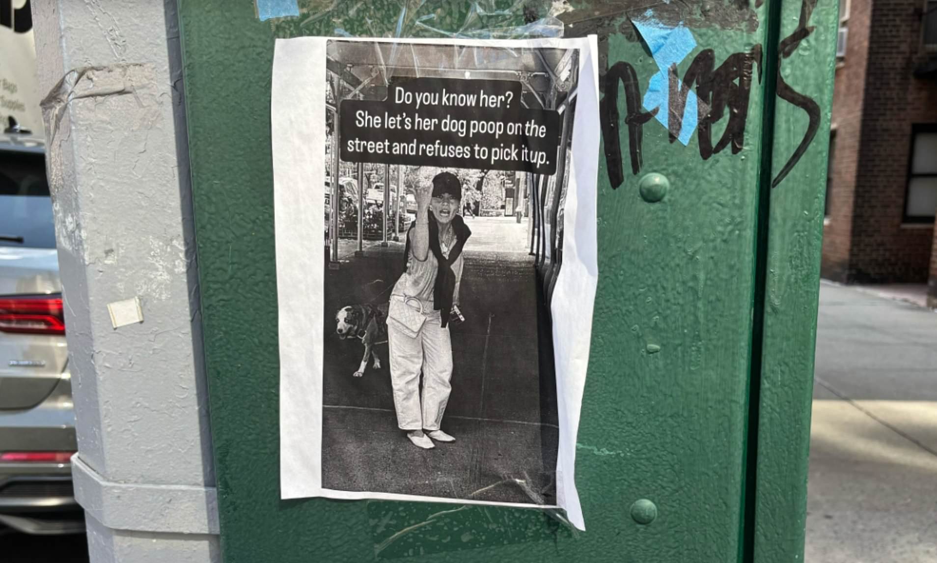 Woman's face is plastered across lavish NYC neighborhood for refusing ...