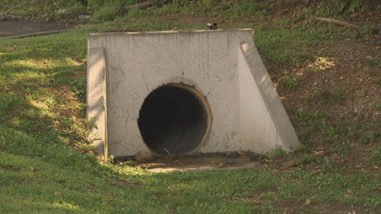 Officials raise health concerns after 5 goats found dead behind ...