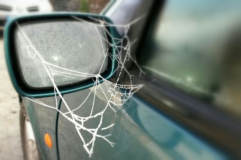 Motoring expert reveals one spot in your car that makes spiders really ...