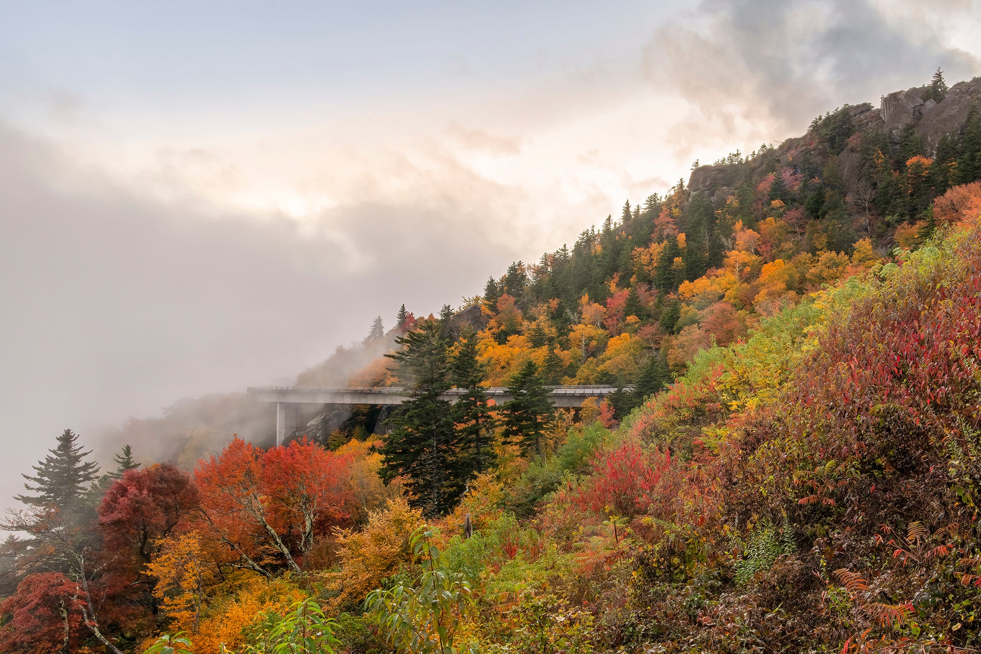 Fall foliage in Western NC: Here's what leaf season could look like in 2025