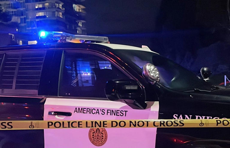 Robbers flee after home invasion at Bay Terraces apartment complex