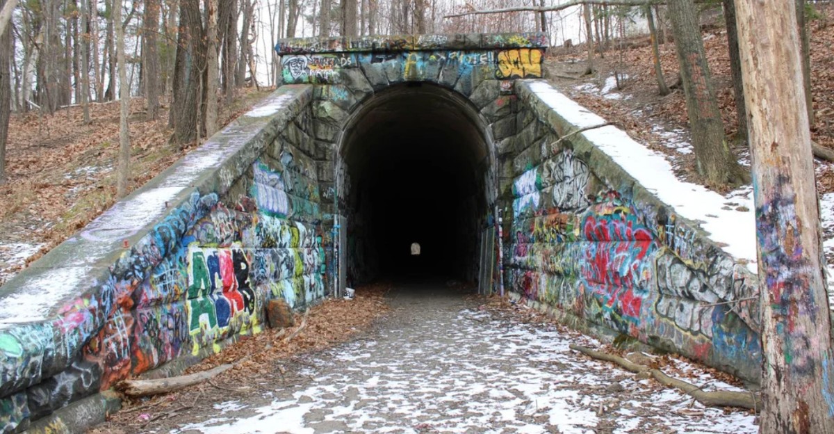 15 Photos of Tunnels That are Borderline Concerning