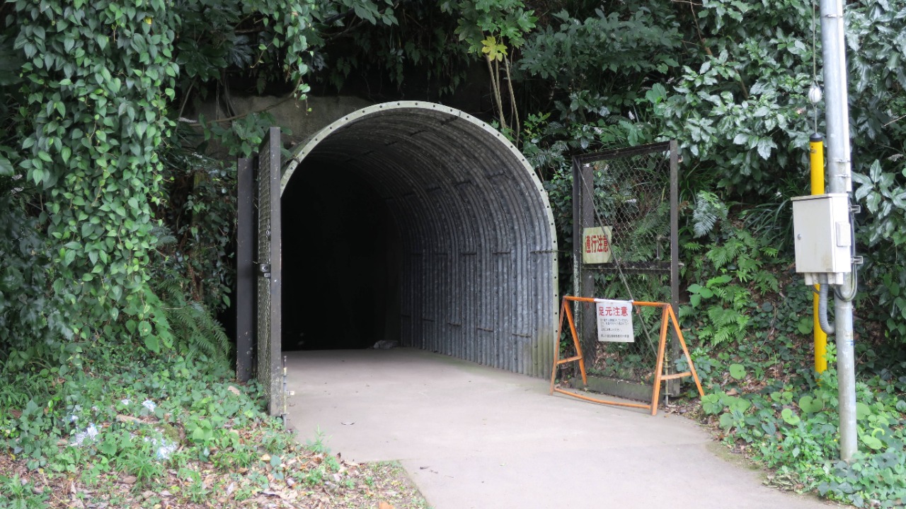 Evidence of massive underground tunnels spanning continents