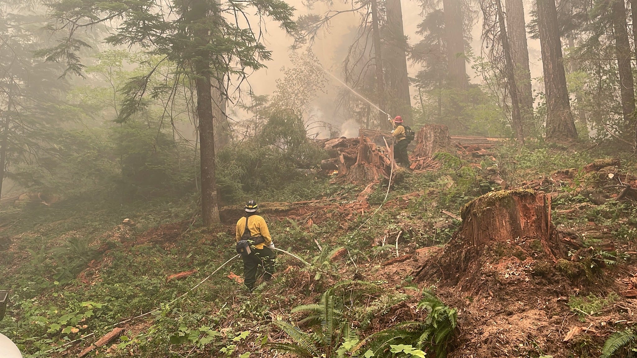 Emigrant Fire near Oakridge grows to 26,000 acres with red flag warning ...