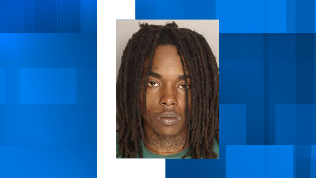 Police ID carjacking suspect after chase ends in crash in Summerville