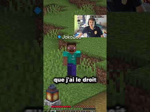Steve est TROP Réaliste sur Minecraft...