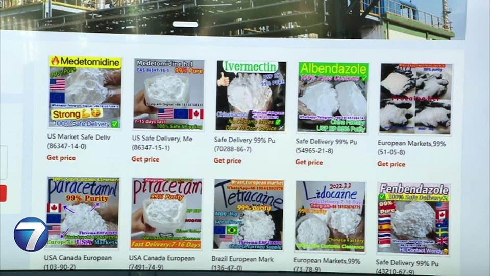 Local couple facing federal charges in connection with international ...