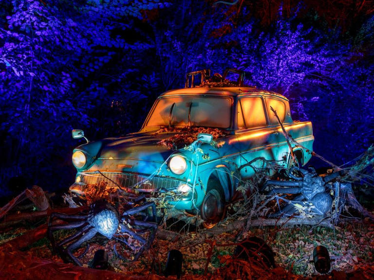 Harry Potter Forbidden Forest walk-through experience coming to ...
