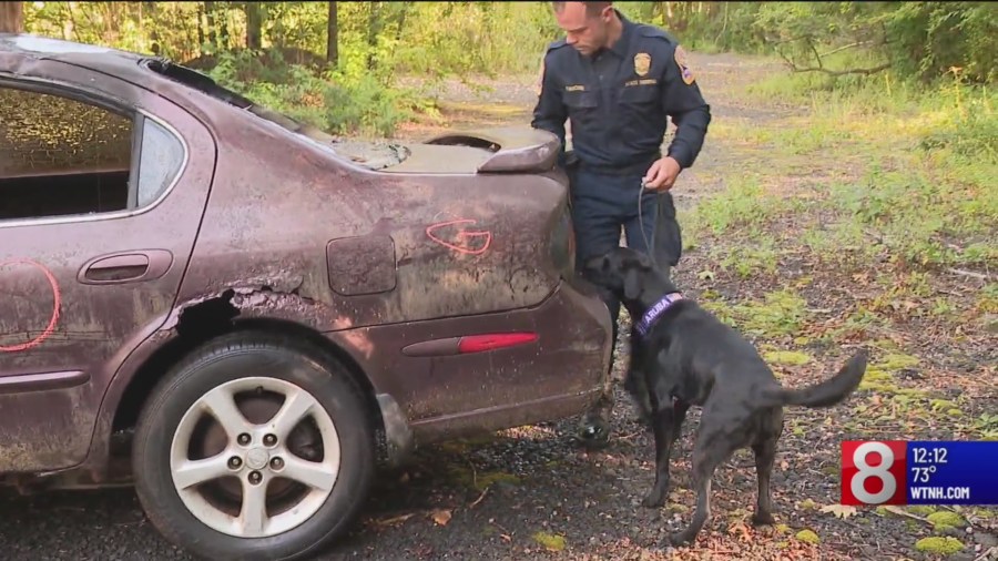 Connecticut police dogs go through arson detection training