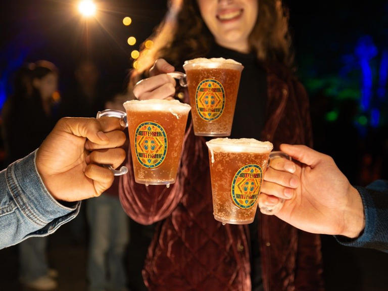 Harry Potter Forbidden Forest walk-through experience coming to ...