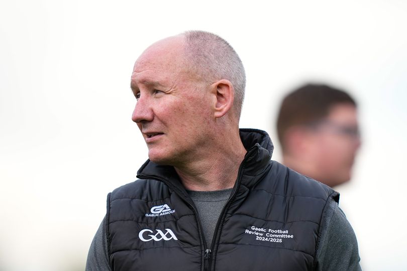 The Buffalo Stance - Gordon D'Arcy on Jim Gavin and what sport needs ...