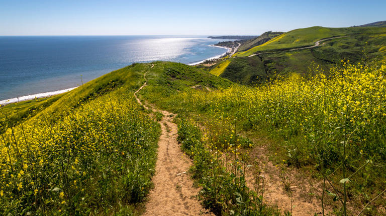 LA's Underrated Canyon Trail Tucked Beside The PCH Offers Sweeping ...