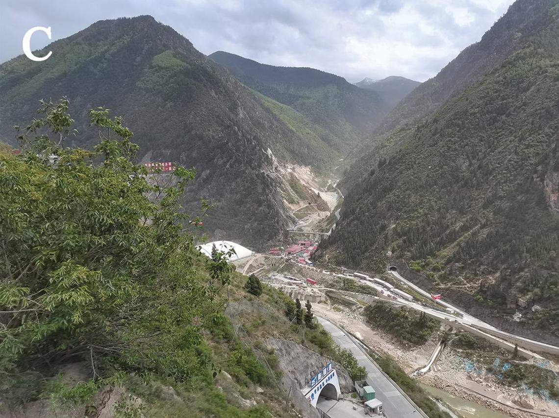 ‘Long'-armed creature with 7 eggs found on mountain in China. It's a ...