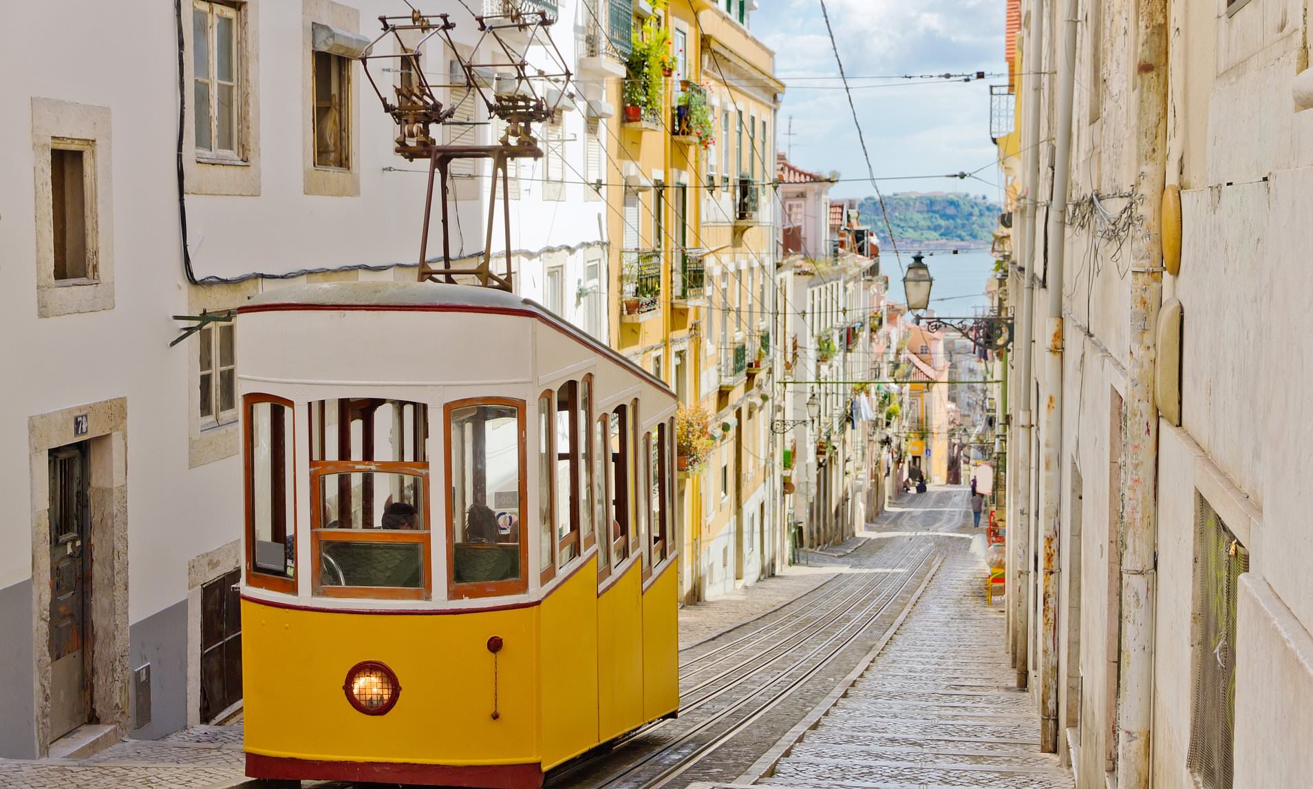 Three dead after tourist cable car 'falls from height'