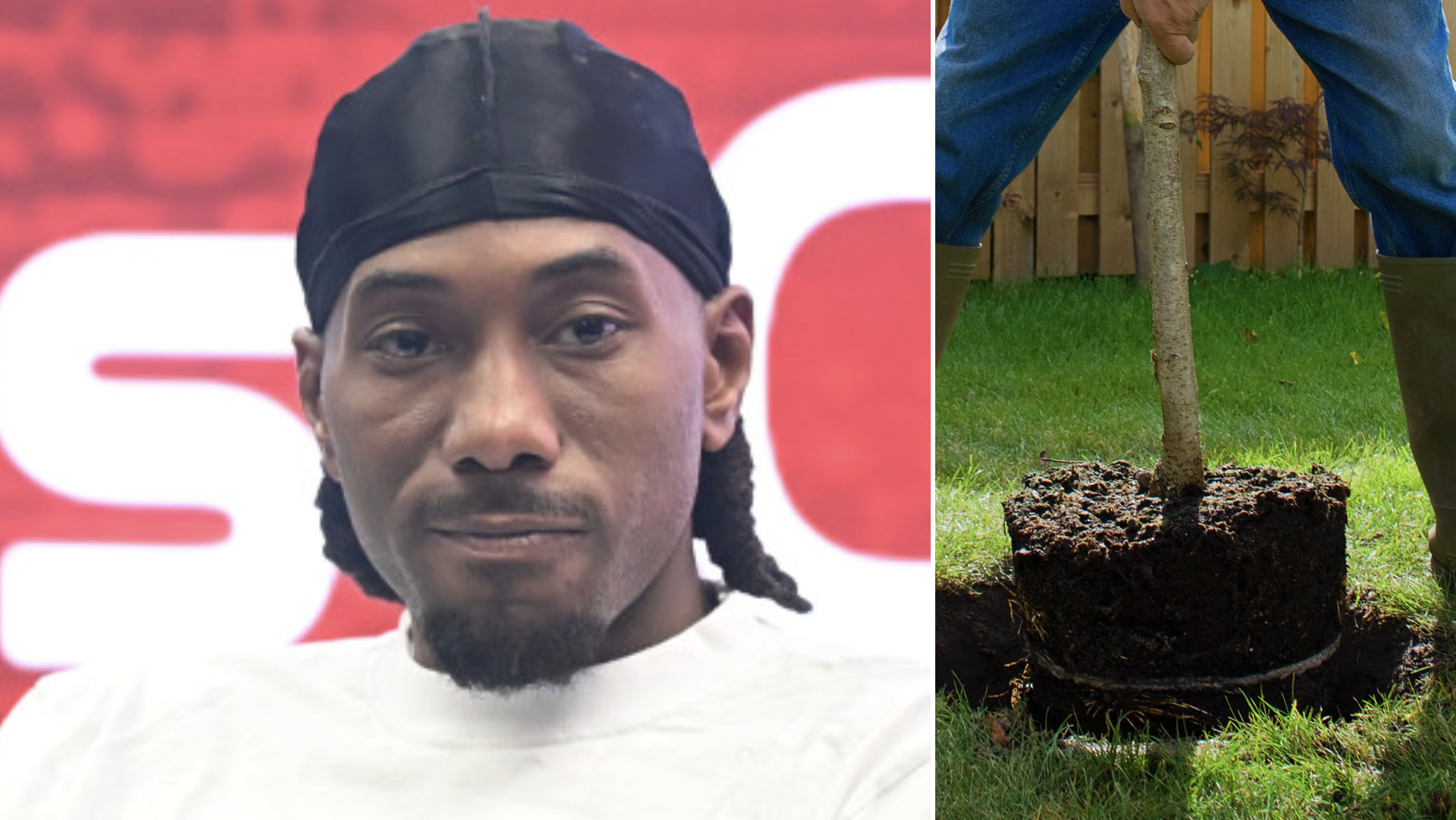 Kawhi Leonard Reportedly Signed $28M Deal With Fake Tree Company So ...