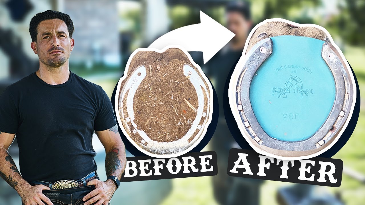 Transforming a dirty horseshoe and hoof