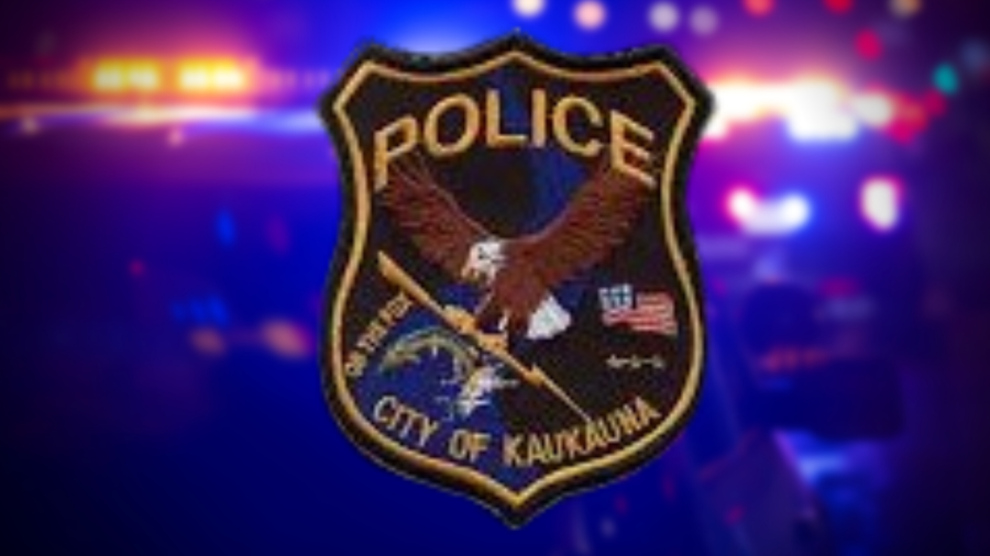Kaukauna Police make changes after cat incident, apologize to owners ...