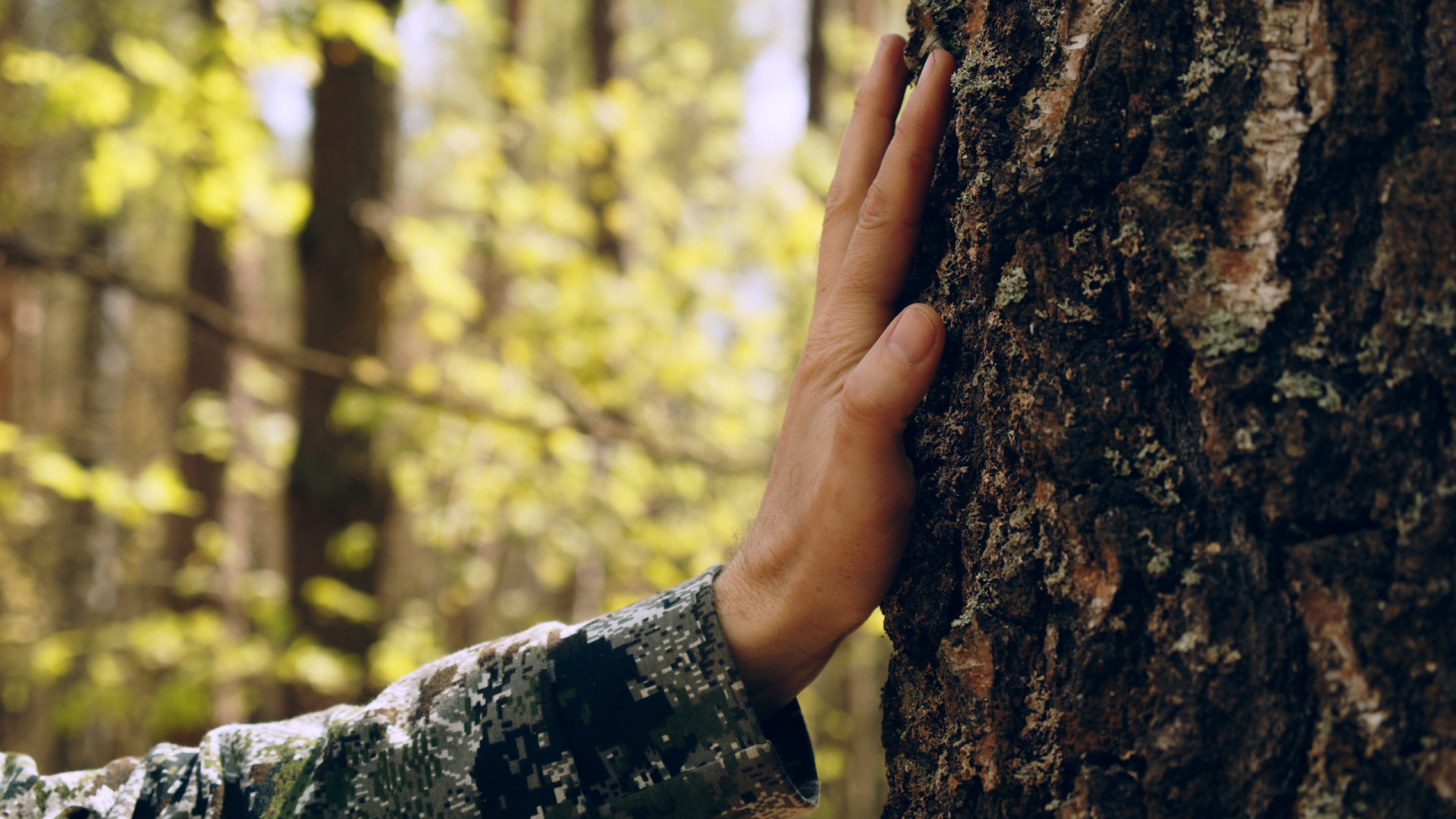 Discover the benefits of forest bathing