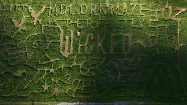 Drone Footage Shows Maryland's New Wicked-Inspired Corn Maze