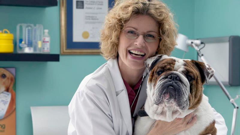 How Much Does A Vet Visit Cost?