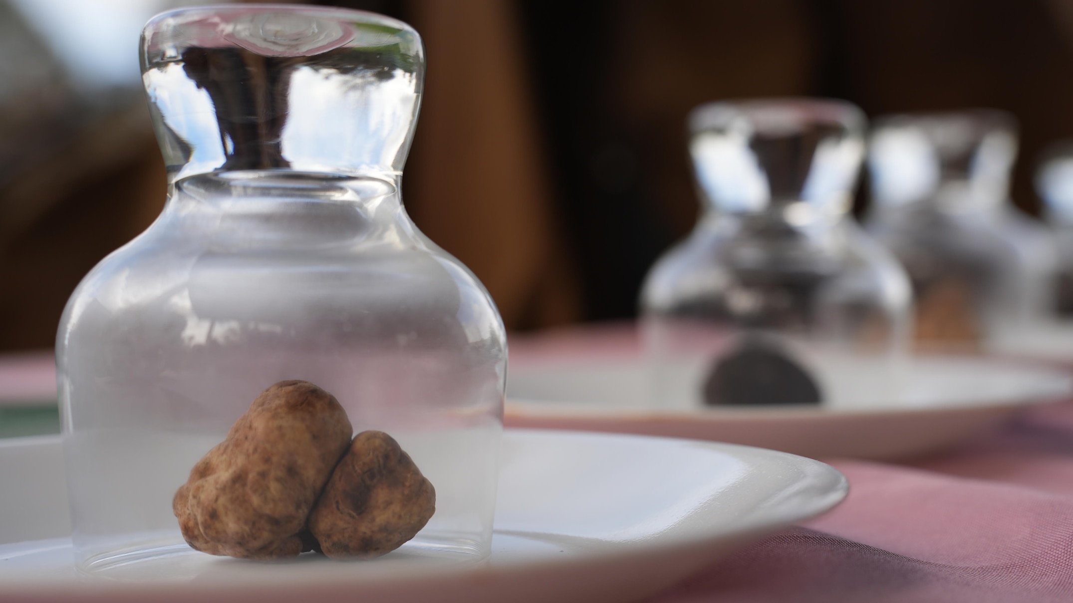 International push to turn WA truffle production into year-round industry