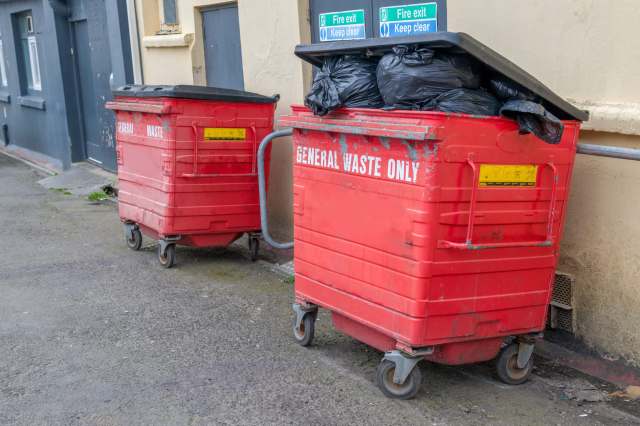 Dumpster diver hits jackpot after checking trash cans behind chain ...