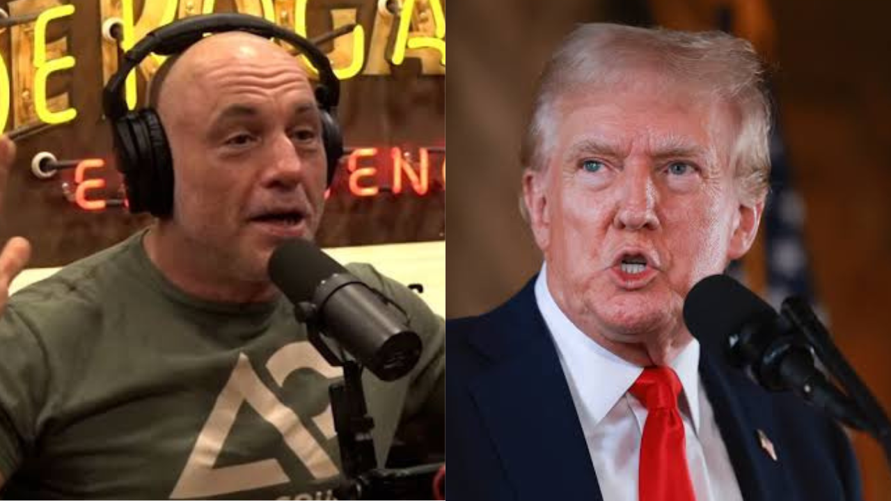 “No UFC fighter has ever died”: Donald Trump sparks fierce debate on ...
