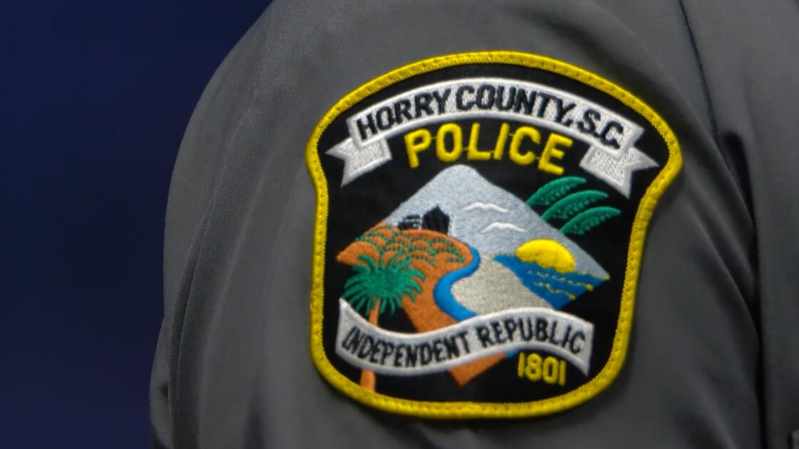 Police: Missing, endangered woman in Horry County found