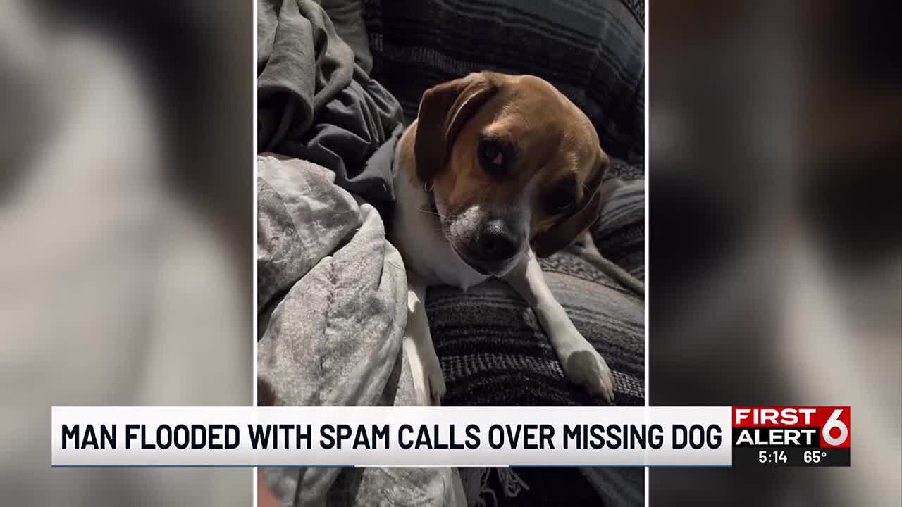 Papillion man harassed by scammers with AI images of his missing dog