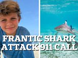 Frantic 911 call as boy rescued from horror shark attack in Florida