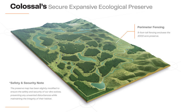 Exclusive Update: The Future of Colossal’s Dire Wolf Project Explained