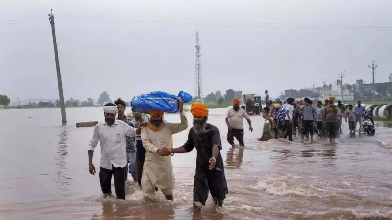 37 dead in Punjab floods: 3.55 lakh people impacted; 175,216 hectares ...