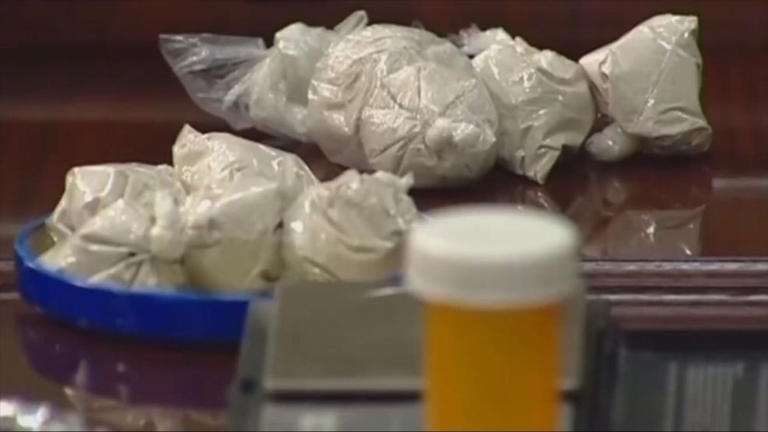 Major drug operation bust links Chinese enterprises to illicit ...