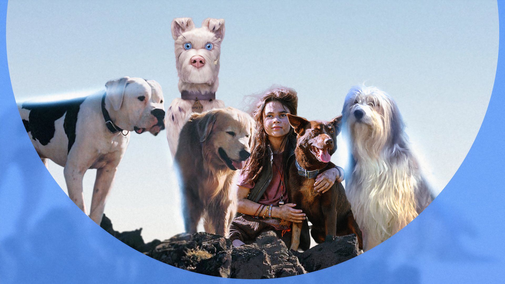 Does the Dog Die? 10 Films Where the Dog Lives