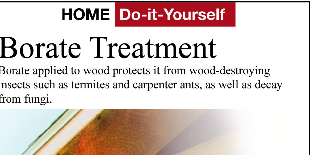 Borate Can Control Wood Insects