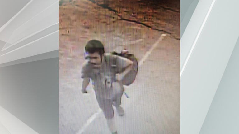 Police looking for armed robbery suspect
