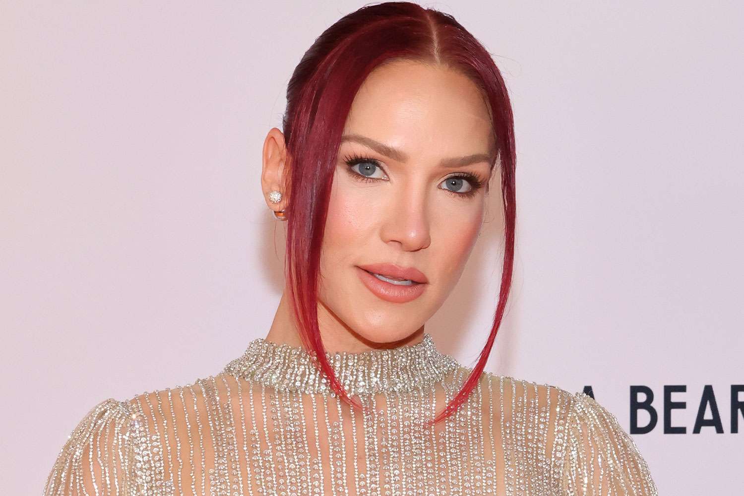 Sharna Burgess Claps Back at Comment Claiming Her and Brian Austin ...